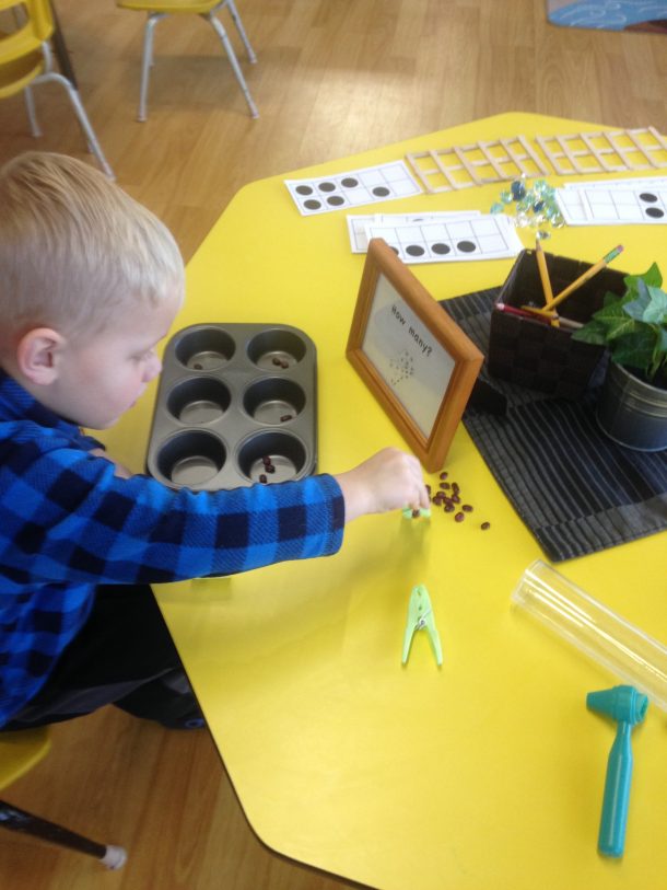 Curriculum | Active Explorers