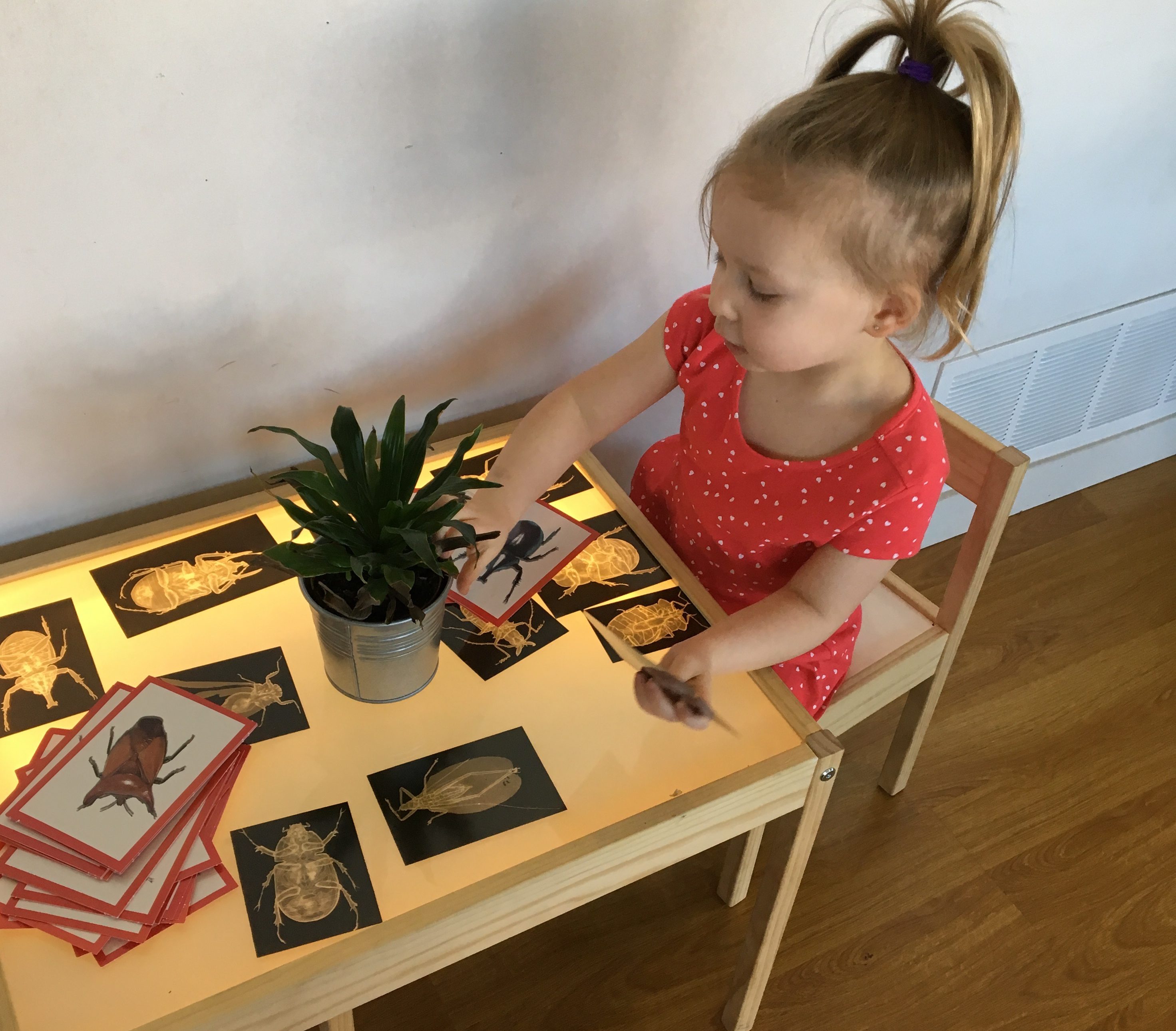 About | Active Explorers