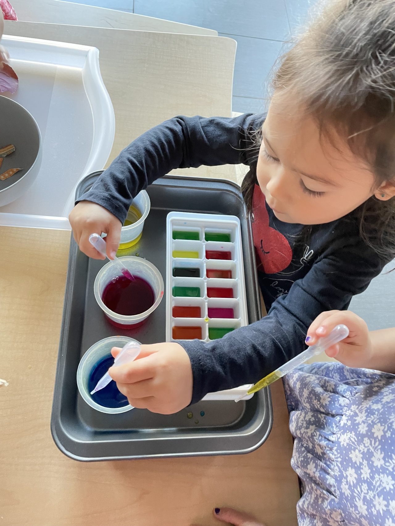 Curriculum | Active Explorers